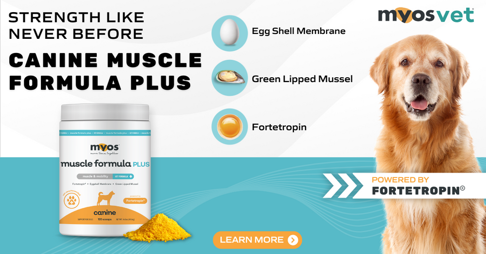 For Veterinarians - Partner Purchasing Platform – Myos Vet